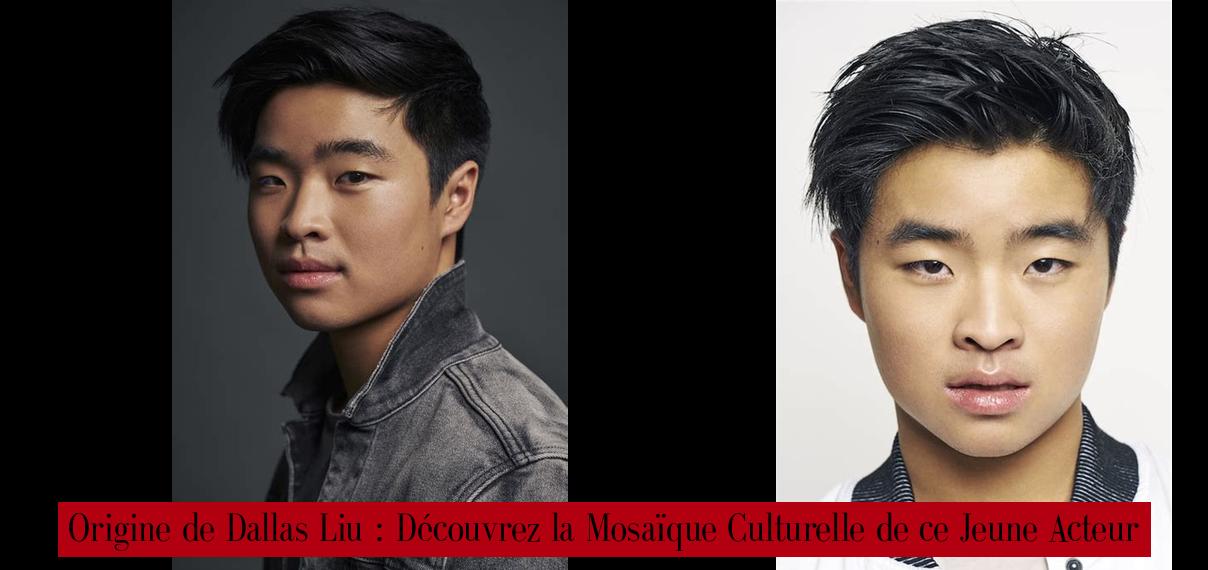 Origine de Dallas Liu : Découvrez la Mosaïque Culturelle de ce Jeune ...