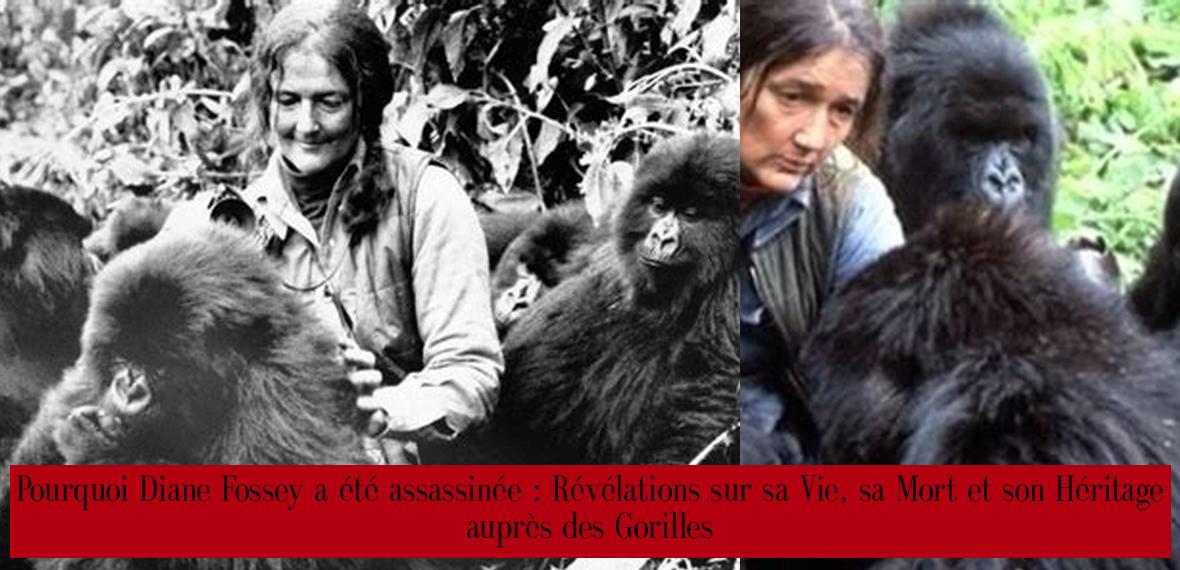 Pourquoi Diane Fossey a été assassinée : Révélations sur sa Vie, sa ...