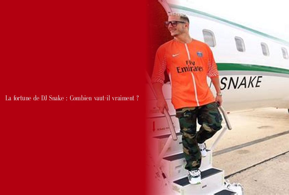 La fortune de DJ Snake : Combien vaut-il vraiment ? – Palmarès Magazine : L'Expert en Festivals ...