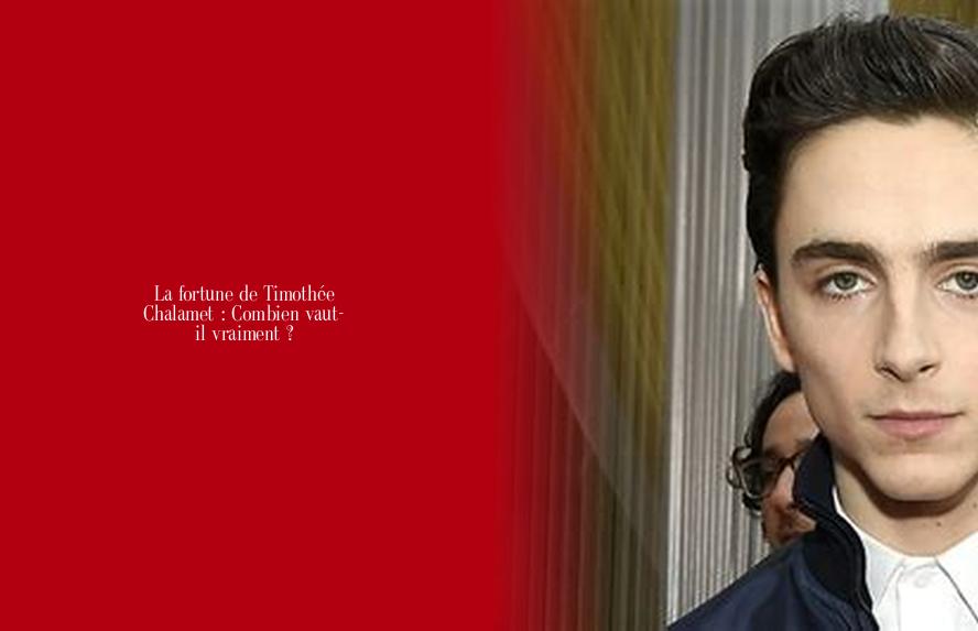 La fortune de Timothée Chalamet : Combien vaut-il vraiment ? – Palmarès Magazine : L'Expert en ...