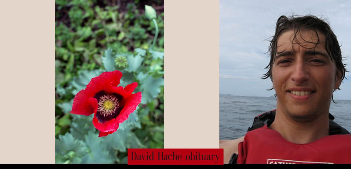 David Hache obituary : Un bâtisseur de rêves à Carthage – Palmarès ...