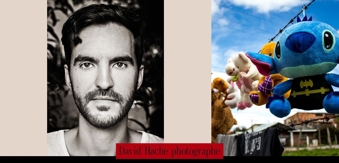 David Hache photographe : La magie d'un visionnaire derrière l'objectif ...